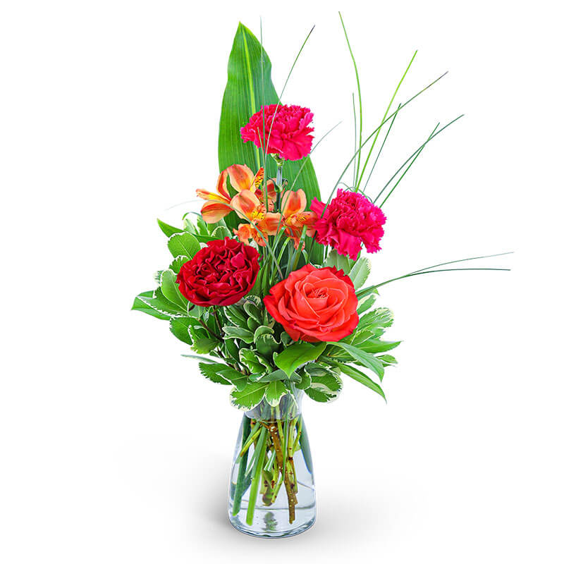 Mango Split :: Quality Flowers, Fort Smith AR