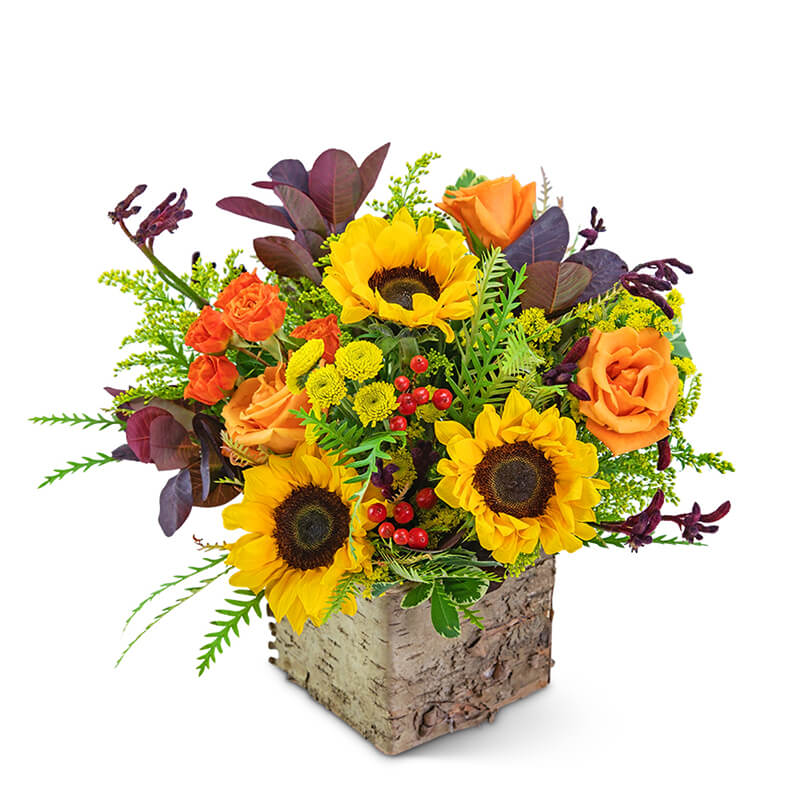 Morning Harvest :: Quality Flowers, Fort Smith AR