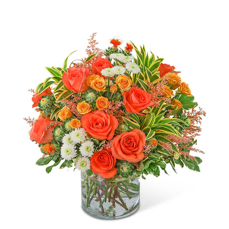 Aloha Paloma :: Quality Flowers, Fort Smith AR