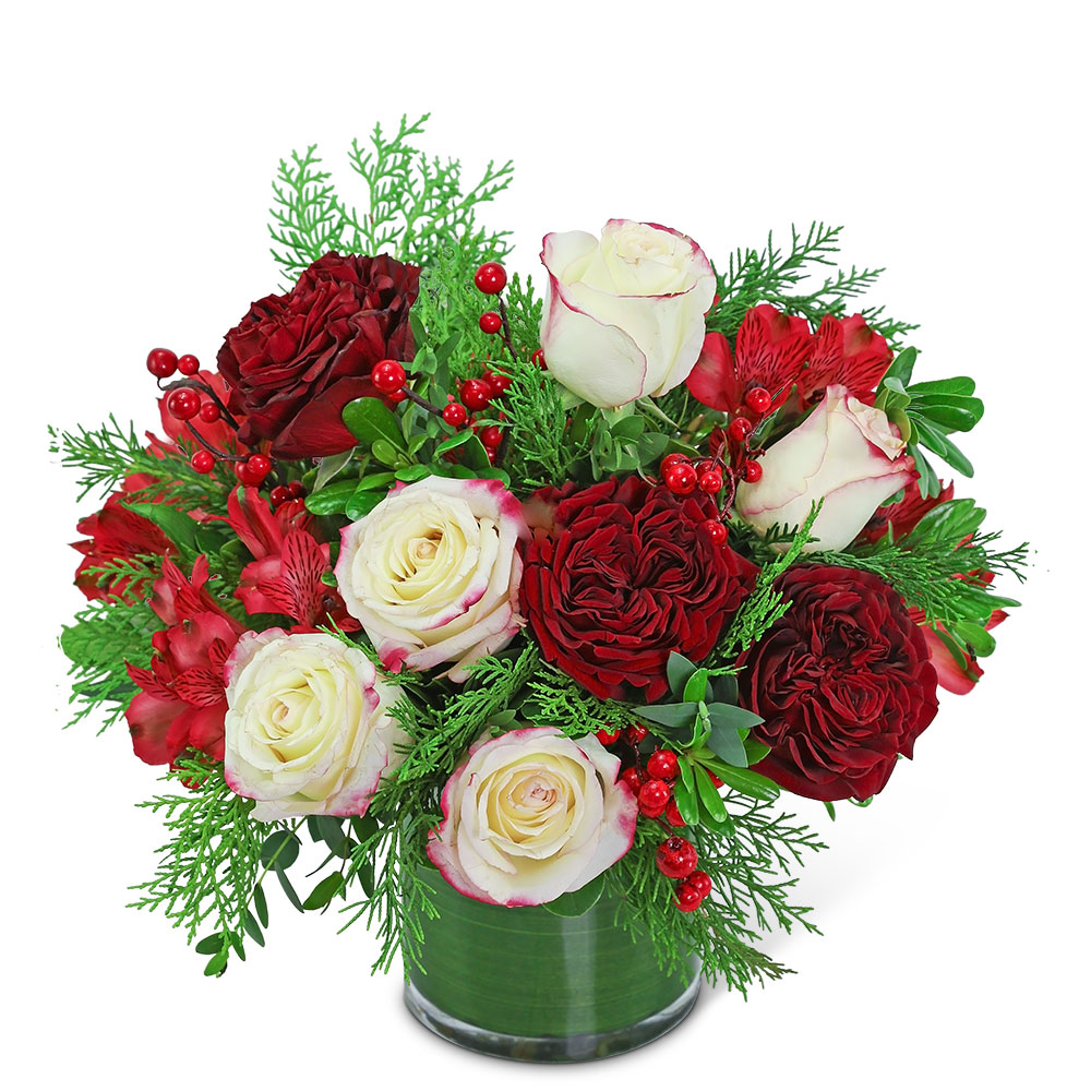 Luxe Peppermint Mocha :: Quality Flowers, Fort Smith AR