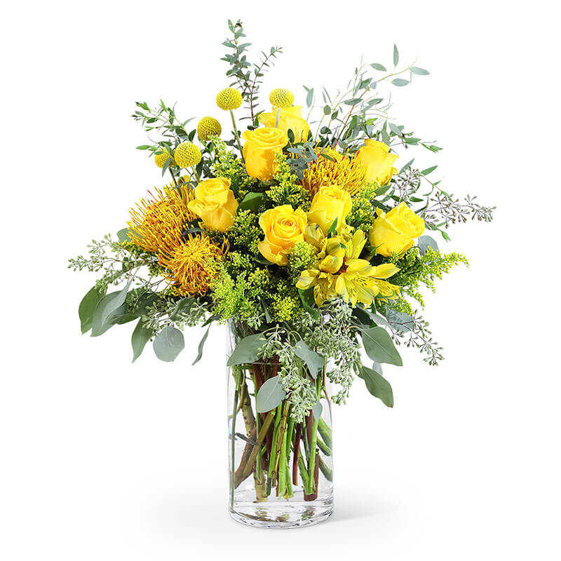 Solidago Arrangement