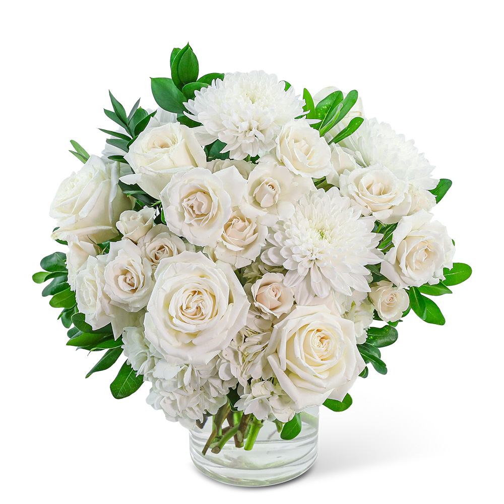 Vogue Essence :: Quality Flowers, Fort Smith AR