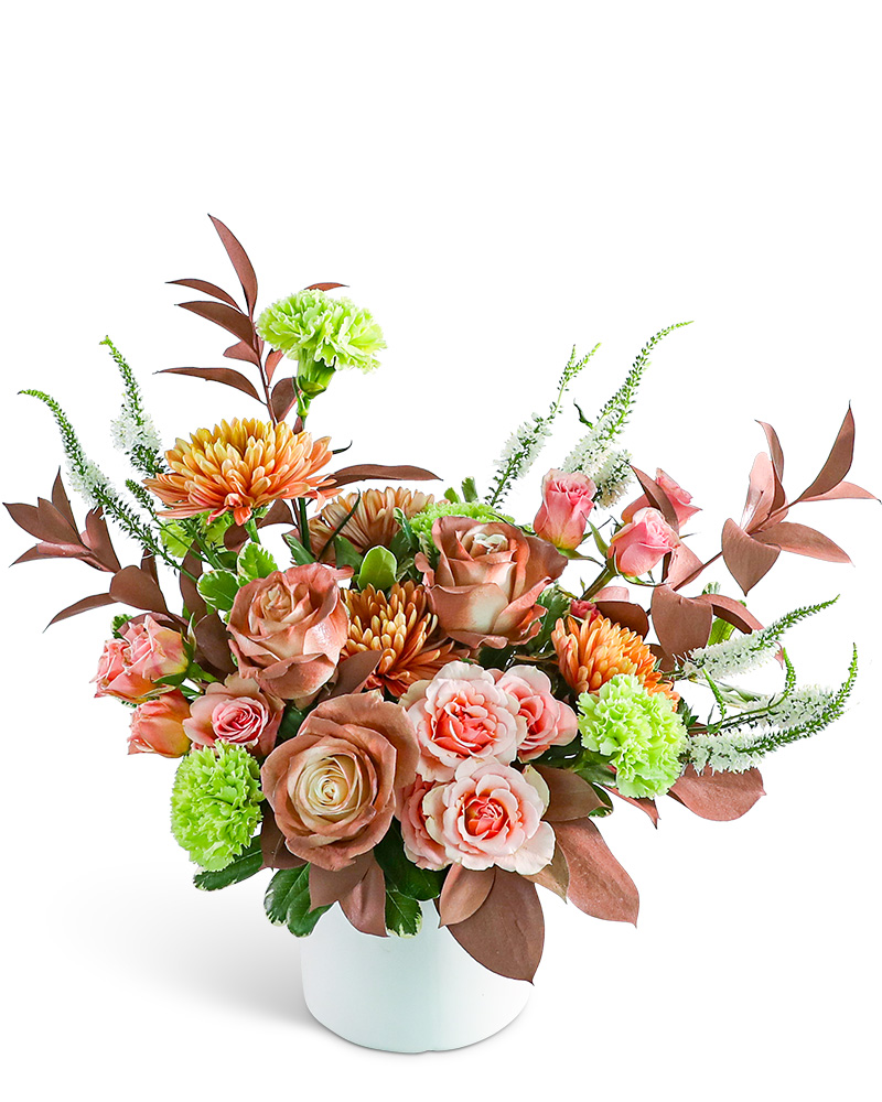 Mocha Constellation :: Quality Flowers, Fort Smith AR