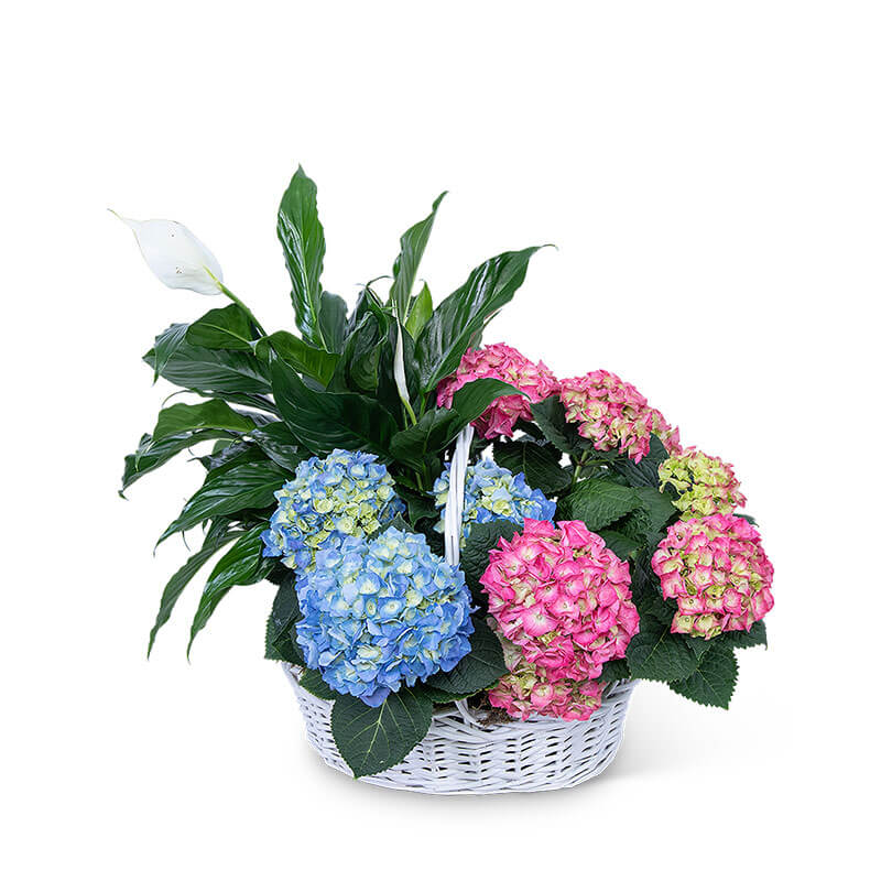 Bountiful Basket :: Quality Flowers, Fort Smith AR