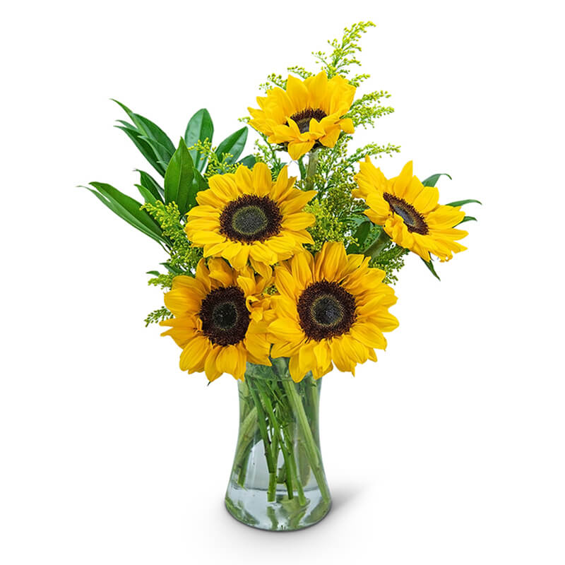 Sunflower Sunshine :: Quality Flowers, Fort Smith AR