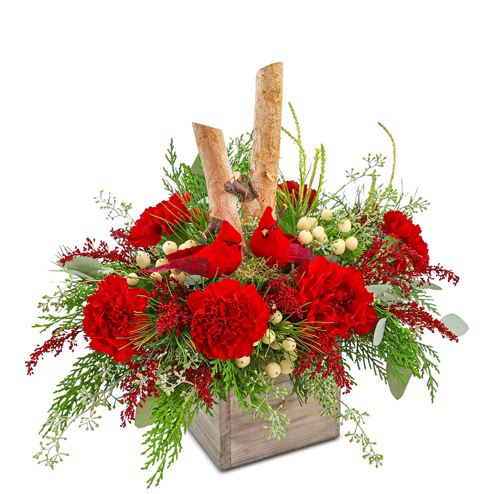 Woodland Cardinal Cheer :: Quality Flowers, Fort Smith AR