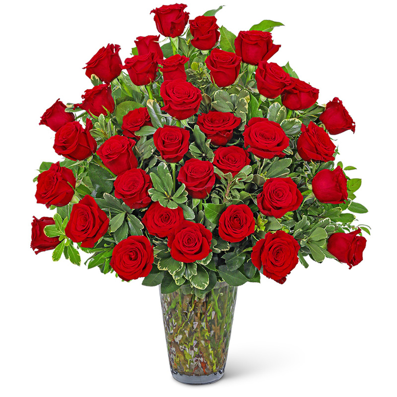 Three Dozen Elegant Red Roses :: Quality Flowers, Fort Smith AR