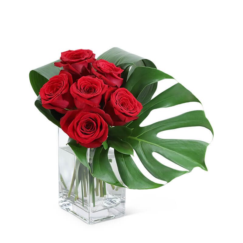 Modern Roses (6) :: Quality Flowers, Fort Smith AR