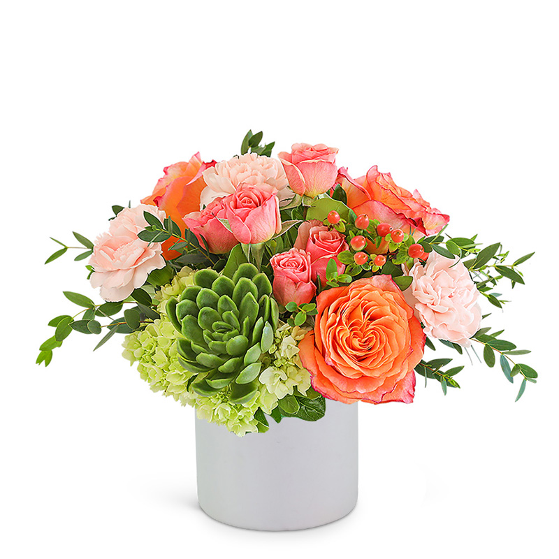 Malibu Magic with Succulents :: Quality Flowers, Fort Smith AR